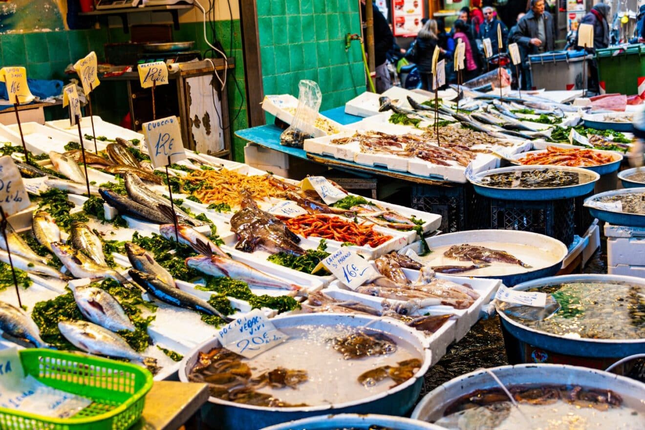 Poisson sans arête pas cher : Top 5 des poissons à tester